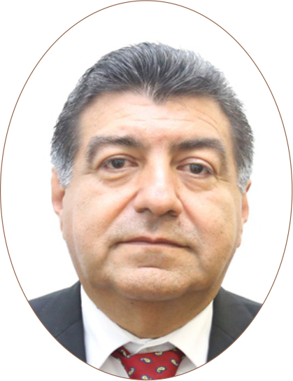 ESTRUCTURA ORGÁNICA DEL COMITÉ DIRECTIVO ESTATAL – PRI ESTATAL